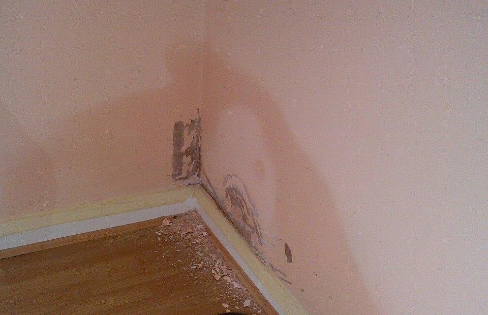 What Causes Damp And Mould In A Rented Property Explained what-causes-damp-and-mould-in-a-rented-property-explained